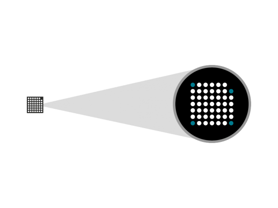 Biochip Array – Randox Food